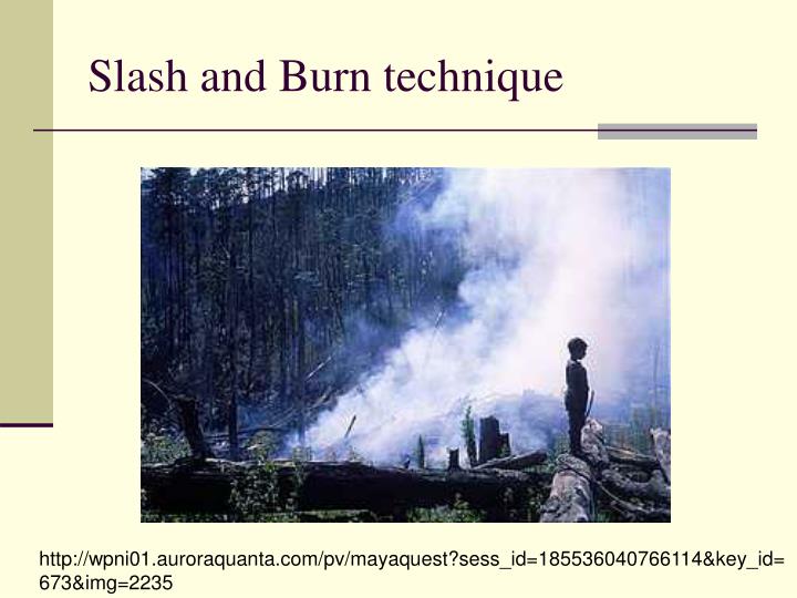 Maya Slash And Burn Method