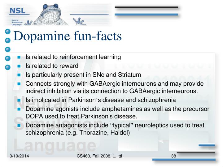 PPT - Neural Networks PowerPoint Presentation - ID:191263