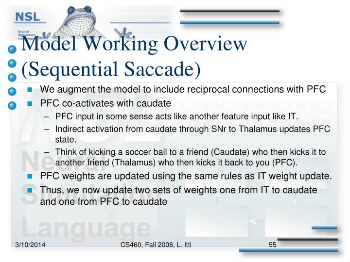 PPT - Neural Networks PowerPoint Presentation - ID:191263