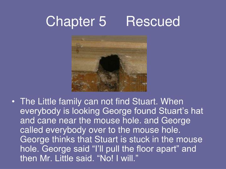 PPT - STUART LITTLE PowerPoint Presentation - ID:192058