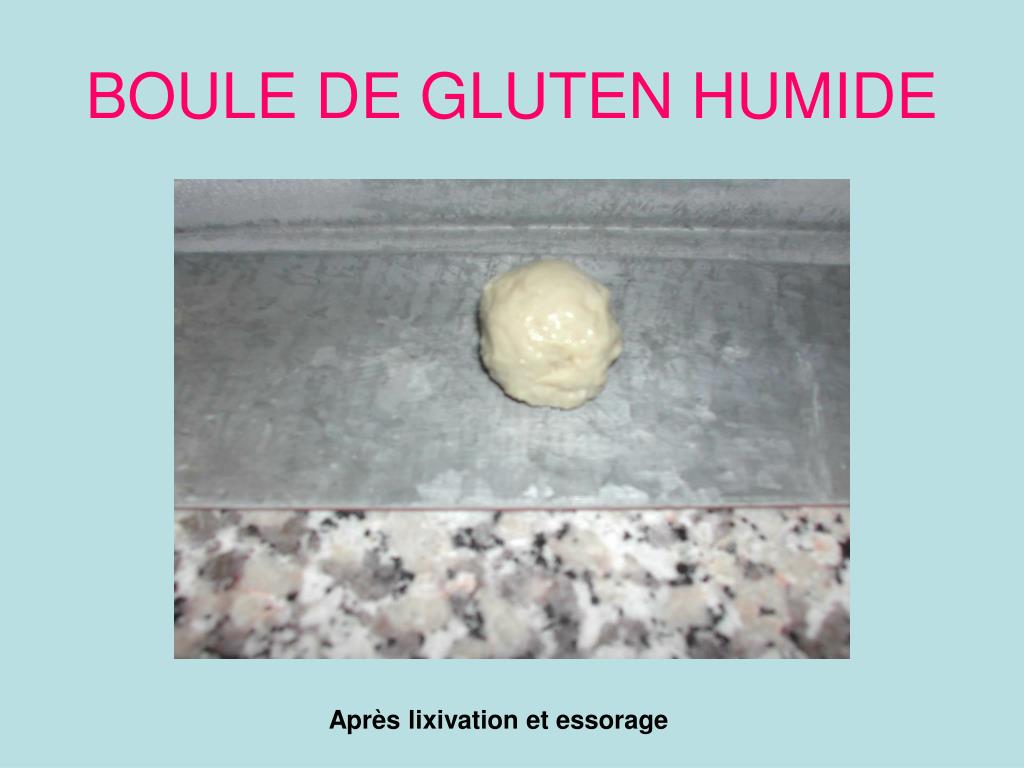 PPT - Extraction du gluten PowerPoint Presentation, free download - ID ...