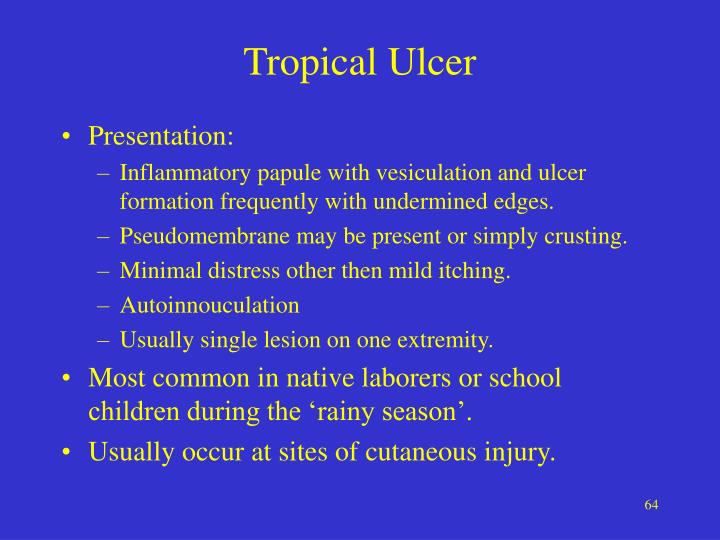 PPT - Bacterial Infections Chapter 14 PowerPoint Presentation - ID:1932