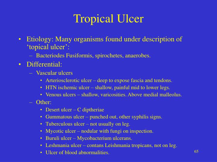 PPT - Bacterial Infections Chapter 14 PowerPoint Presentation - ID:1932