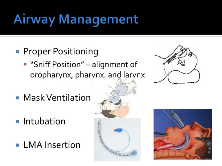 PPT - Anesthesiology Orientation PowerPoint Presentation - ID:193807