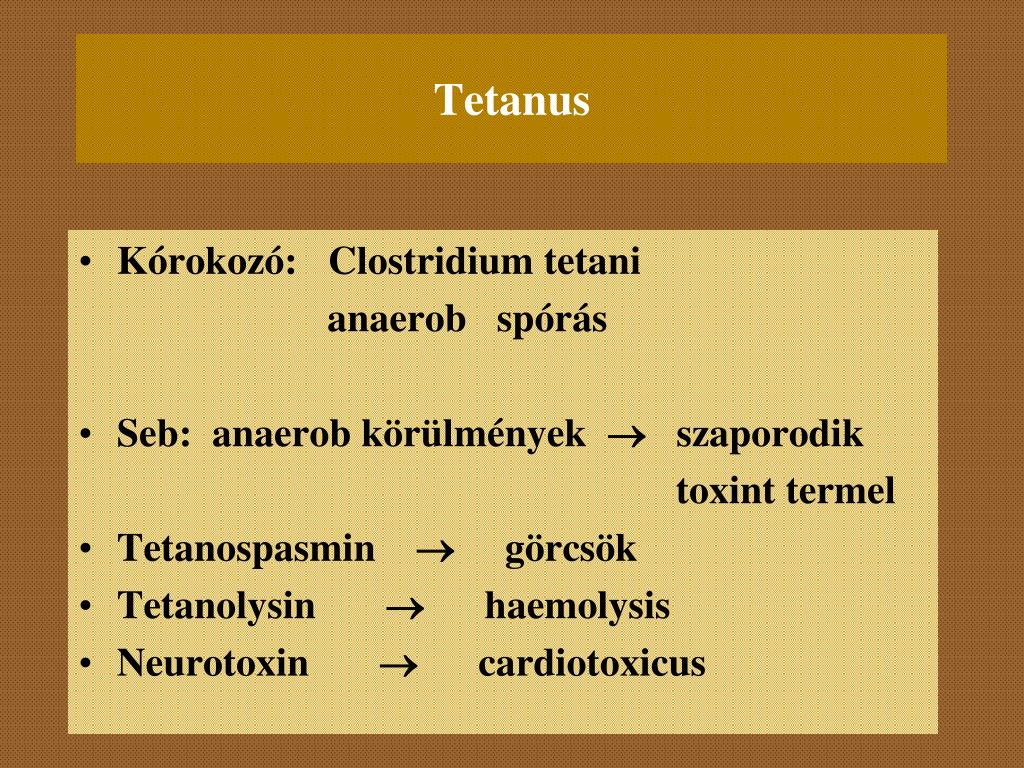 PPT - Sebészi fertőzések és azok megelőzése PowerPoint Presentation ...