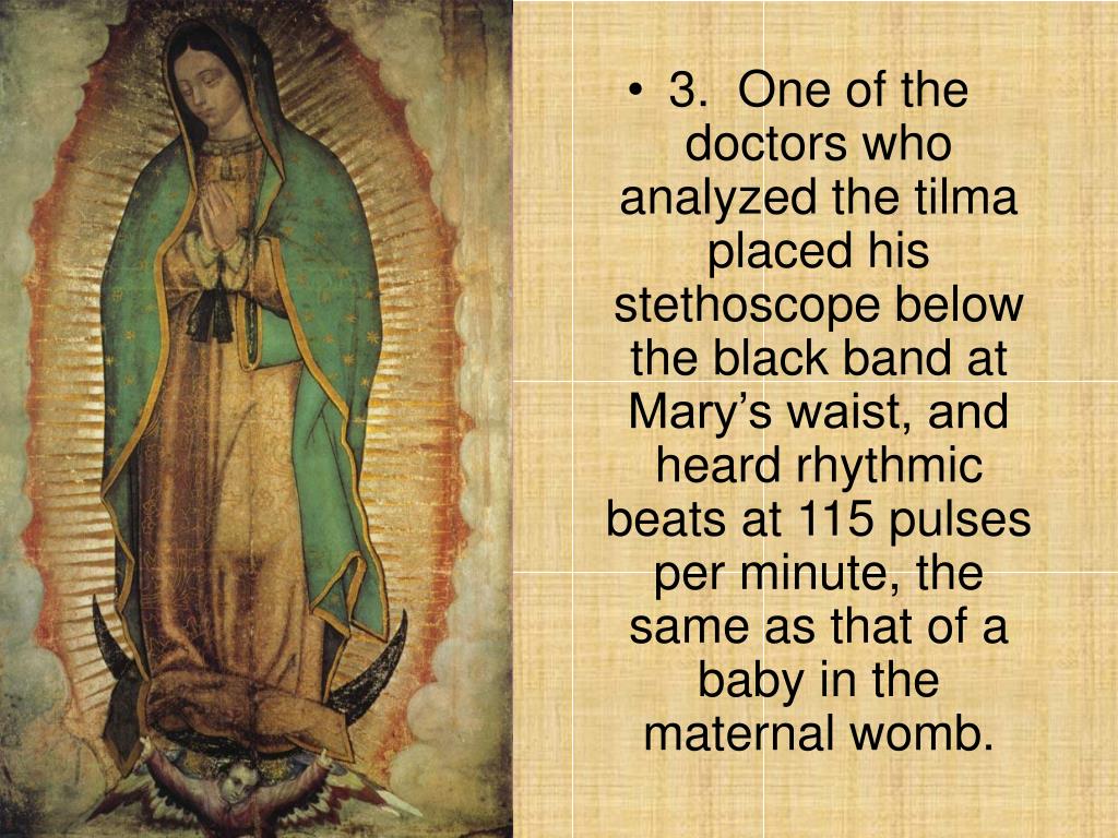 PPT - Discoveries about the tilma of the Virgin of Guadalupe Empress of ...