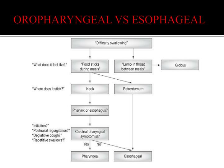 PPT - DYSPHAGIA PowerPoint Presentation - ID:200216
