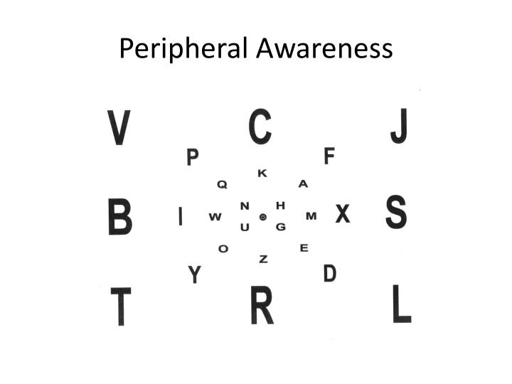 PPT - Leonard J. Press, O.D., FCOVD, FAAO The Vision & Learning Center ...