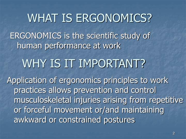 PPT - Ergonomics Principles and Guidelines PowerPoint Presentation - ID ...