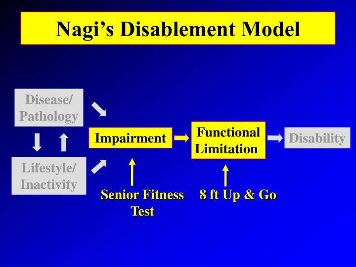 PPT - Introduction to Senior Fitness Test PowerPoint Presentation - ID ...
