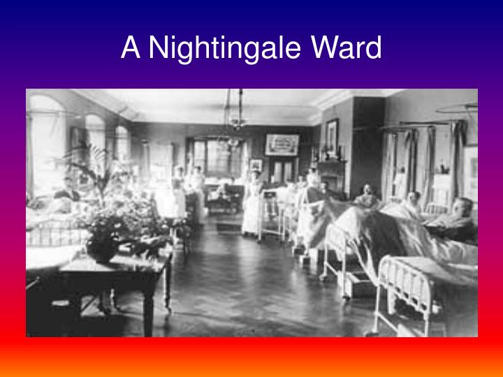 PPT - The Nursing Profession and Important Women in Medicine ...