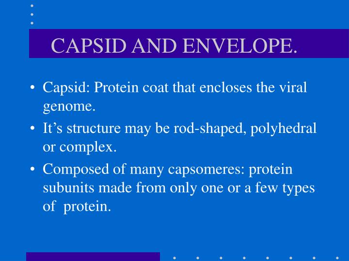 PPT - VIRUSES. PowerPoint Presentation - ID:20356