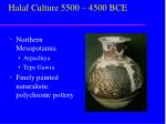 PPT - Prehistory PowerPoint Presentation - ID:205142