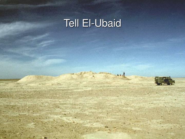 PPT - Prehistory PowerPoint Presentation - ID:205142