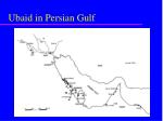 PPT - Prehistory PowerPoint Presentation - ID:205142