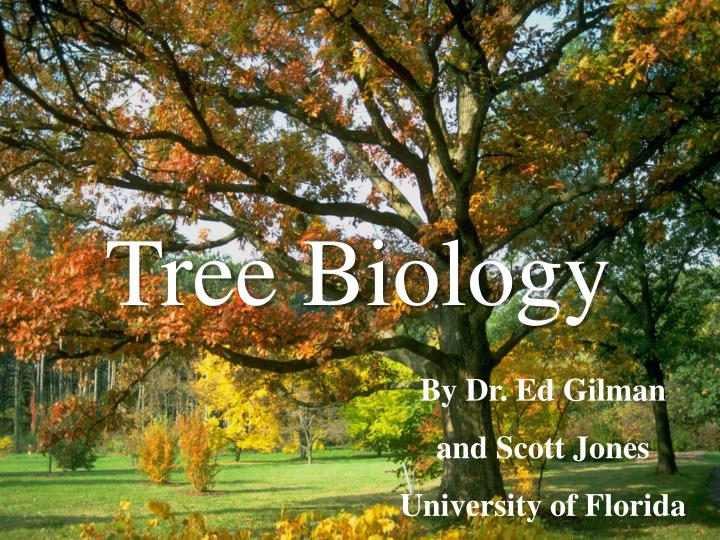 PPT - Tree Biology PowerPoint Presentation, free download - ID:205786