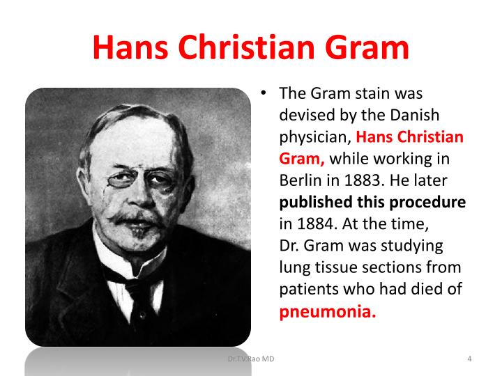 PPT - Gram staining and Clinical uses PowerPoint Presentation - ID:206421