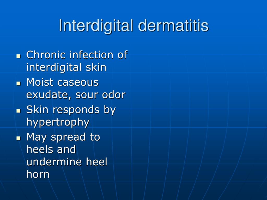PPT - Treatments of infectious bovine hoof diseases PowerPoint ...