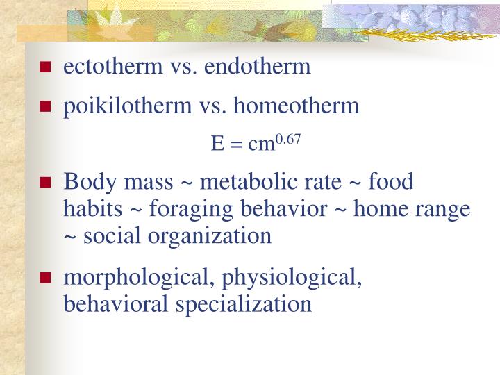 PPT - Macro-climate PowerPoint Presentation - ID:208291