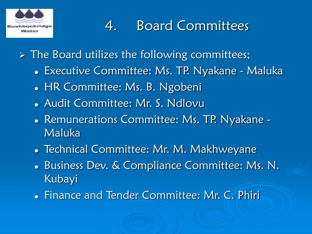 PPT - BUSHBUCKRIDGE WATER PRESENTATION OF THE 2006/7 ANNUAL REPORT MAY ...
