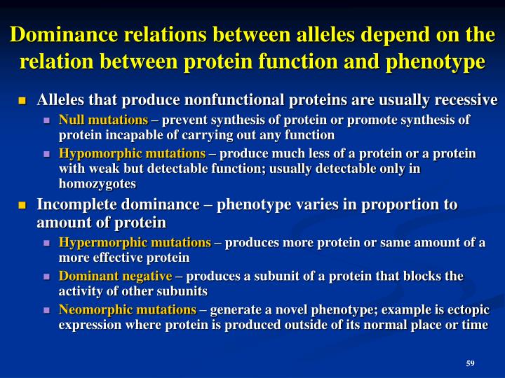 PPT - Anatomy and Function of a Gene PowerPoint Presentation - ID:209588