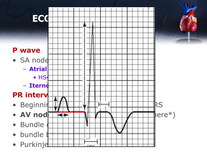 PPT - Electrocardiogram PowerPoint Presentation - ID:209646
