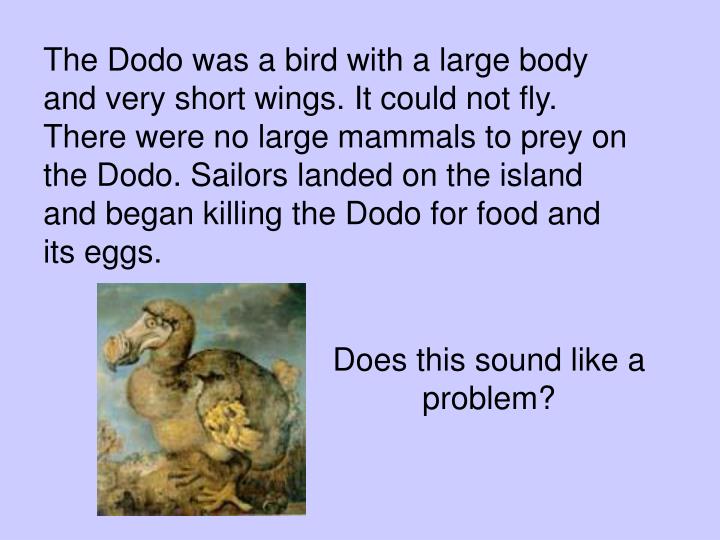 PPT - The Tale of the Dodo Bird PowerPoint Presentation - ID:209700
