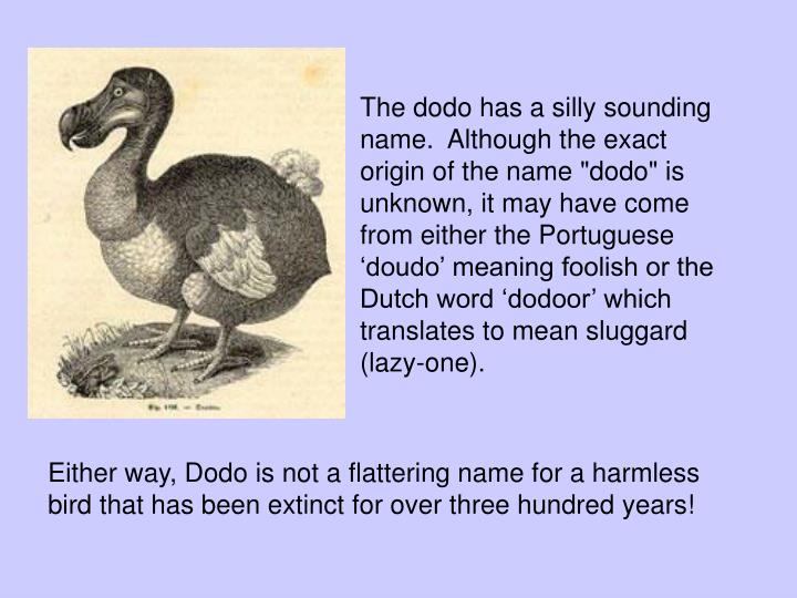 PPT - The Tale of the Dodo Bird PowerPoint Presentation - ID:209700