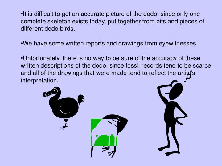 PPT - The Tale of the Dodo Bird PowerPoint Presentation - ID:209700