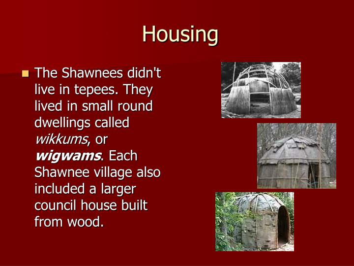 PPT - Ohio Native Americans-Shawnee Indians PowerPoint Presentation ...