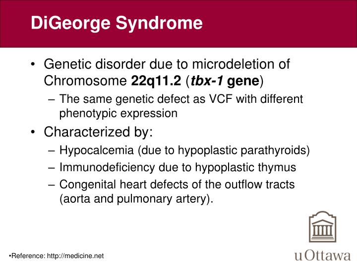 PPT - A Review of Pediatric Syndromes PowerPoint Presentation - ID:209885