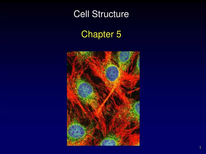 PPT - Cell Structure PowerPoint Presentation, free download - ID:210070