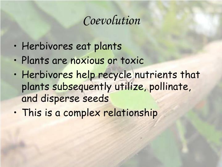 Coevolution Examples