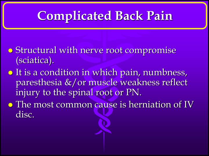 PPT - Back Pain PowerPoint Presentation - ID:210708