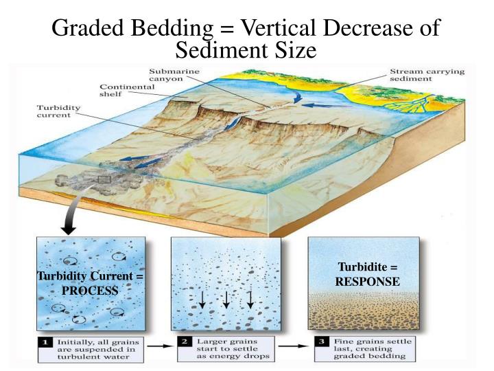 PPT - SEDIMENTARY GEOLOGY OVERVIEW PowerPoint Presentation - ID:210795