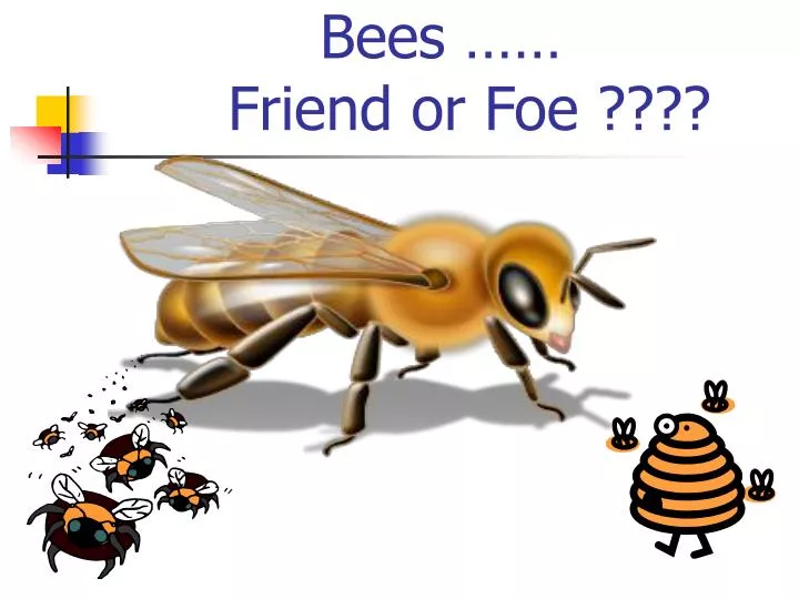 PPT - Bees …… Friend or Foe ???? PowerPoint Presentation, free download ...
