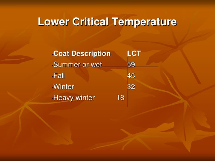 PPT - Practical Beef Nutrition and Ration Formulation PowerPoint ...