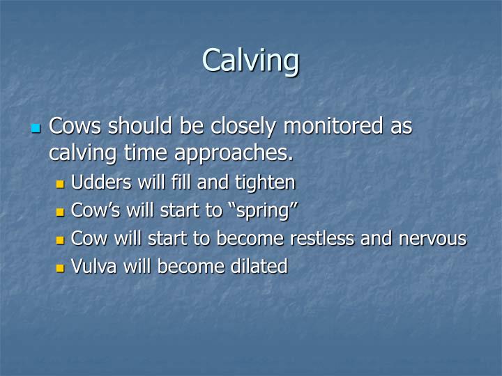 PPT - Beef Cattle Production PowerPoint Presentation - ID:211283