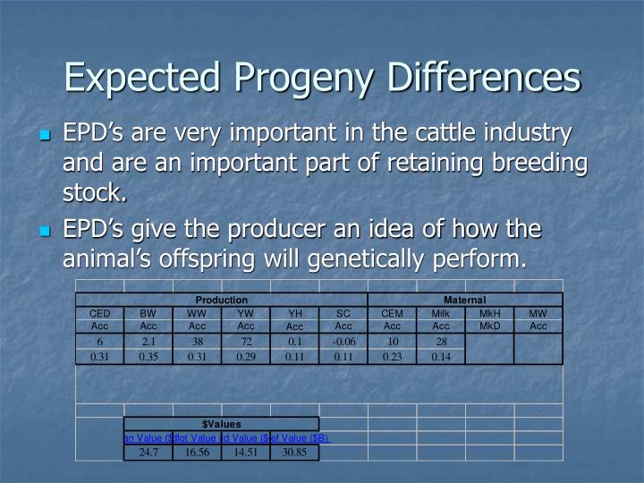 PPT - Beef Cattle Production PowerPoint Presentation - ID:211283