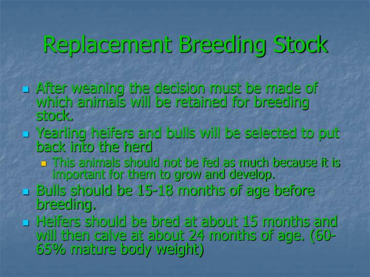 PPT - Beef Cattle Production PowerPoint Presentation - ID:211283