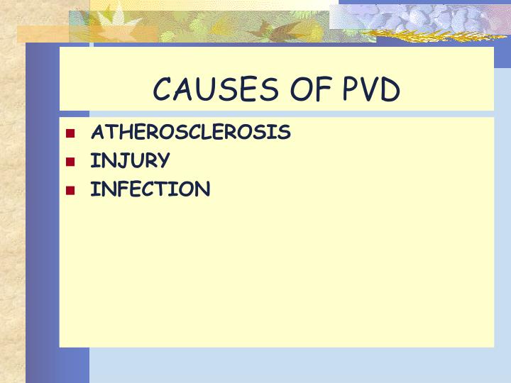 PPT - A Palliative Approach to Peripheral Vascular Disease/ Gangrene ...