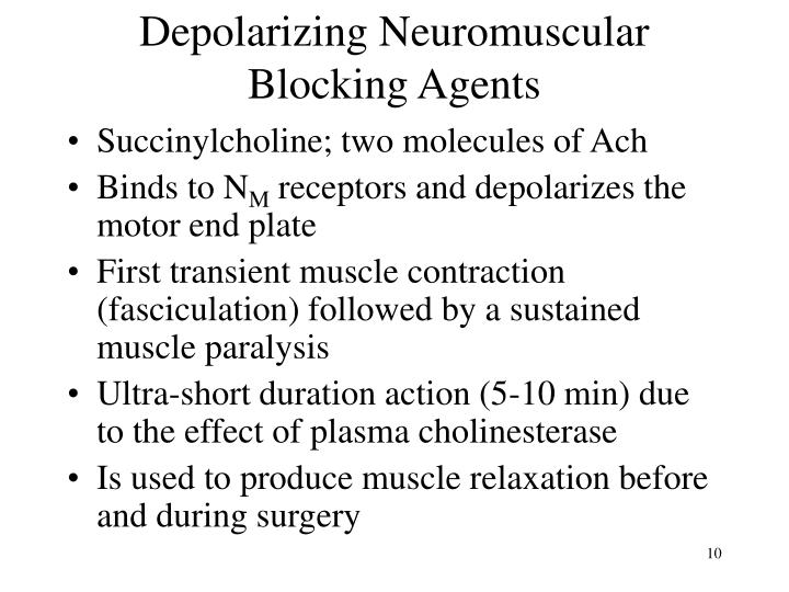 PPT - Cholinergic Receptors Antagonists PowerPoint Presentation - ID:214153