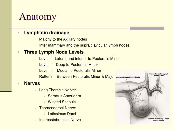 PPT - Benign Breast Problems PowerPoint Presentation - ID:214729