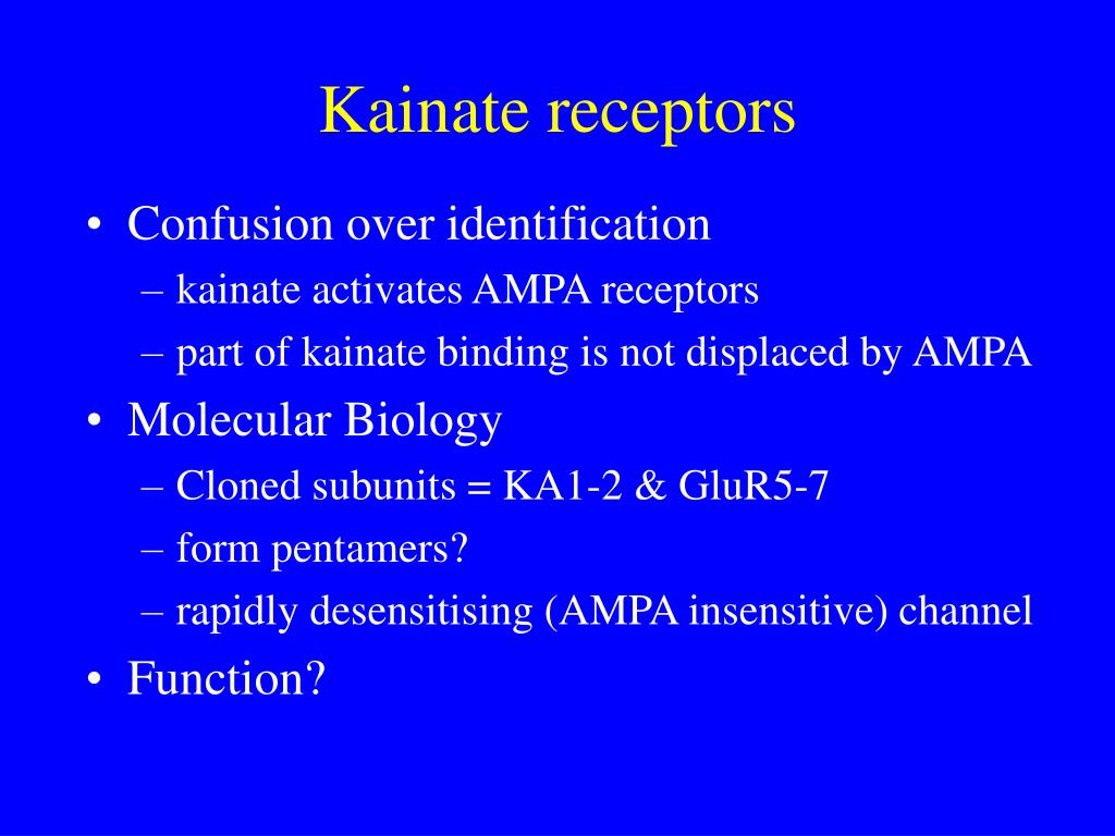 PPT - Excitatory Amino Acids PowerPoint Presentation, free download ...