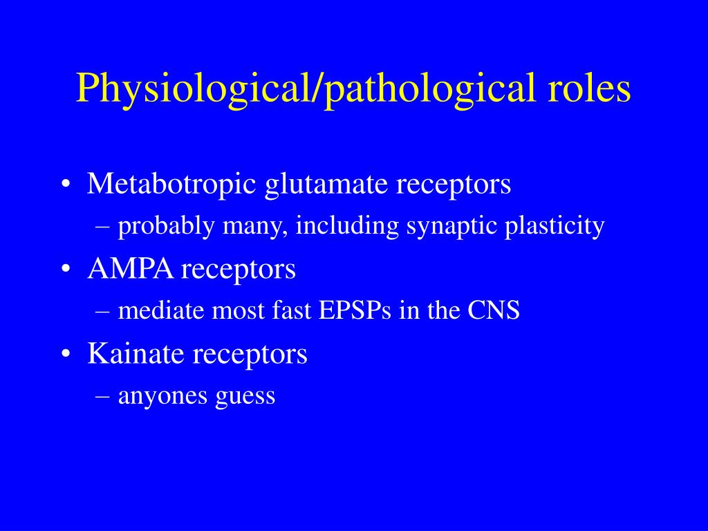 PPT - Excitatory Amino Acids PowerPoint Presentation, free download ...