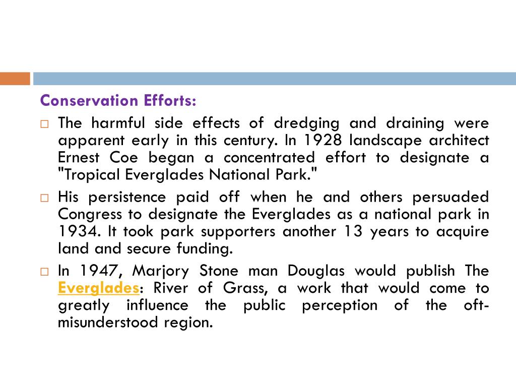 PPT - History and Culture of Florida PowerPoint Presentation, free ...