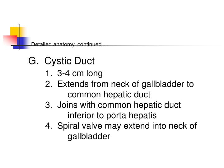 PPT - THE GALLBLADDER PowerPoint Presentation - ID:216330