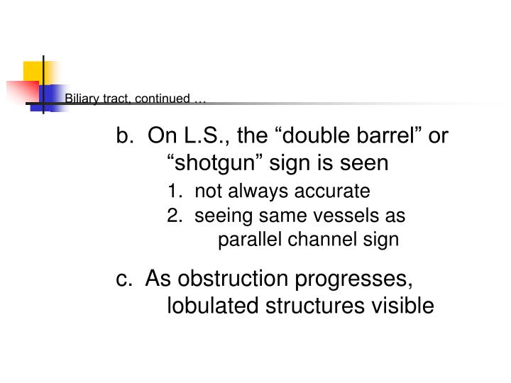 PPT - THE GALLBLADDER PowerPoint Presentation - ID:216330