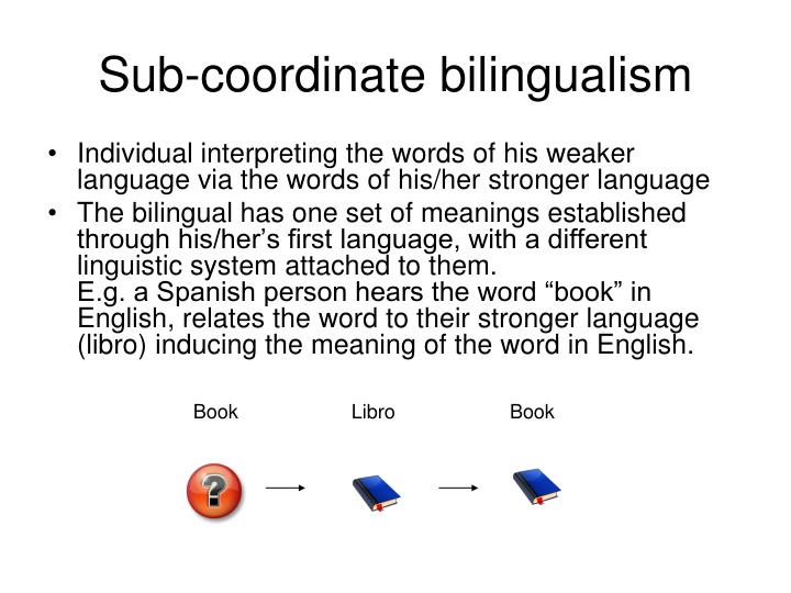 PPT - Bilingualism PowerPoint Presentation - ID:216419