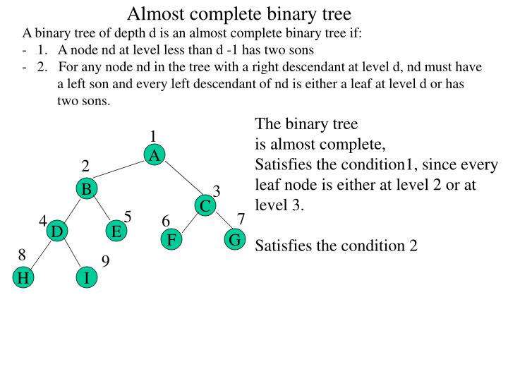 PPT - Binary Tree PowerPoint Presentation - ID:216704